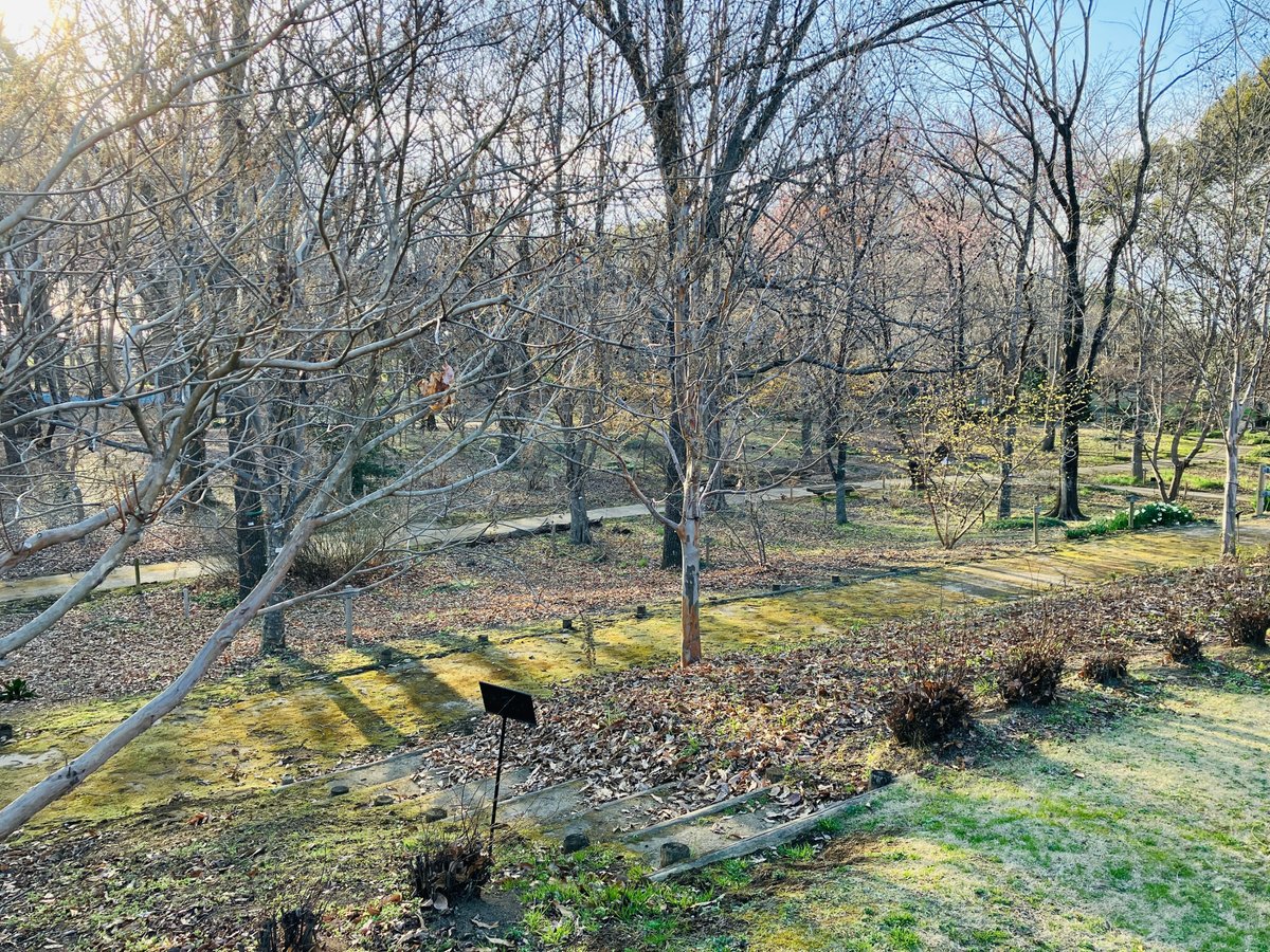 仏の笑顔でCQを叫ぶ雛祭りの鬼 #20240303｜SUUA-SAN