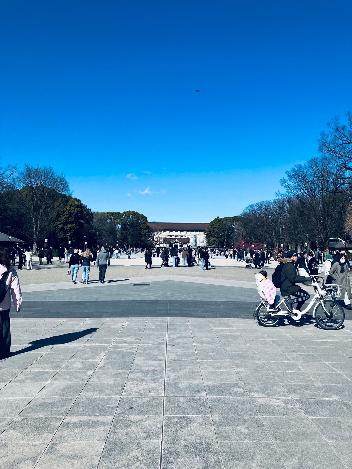 仏の笑顔でCQを叫ぶ思春鬼 #20240309｜SUUA-SAN