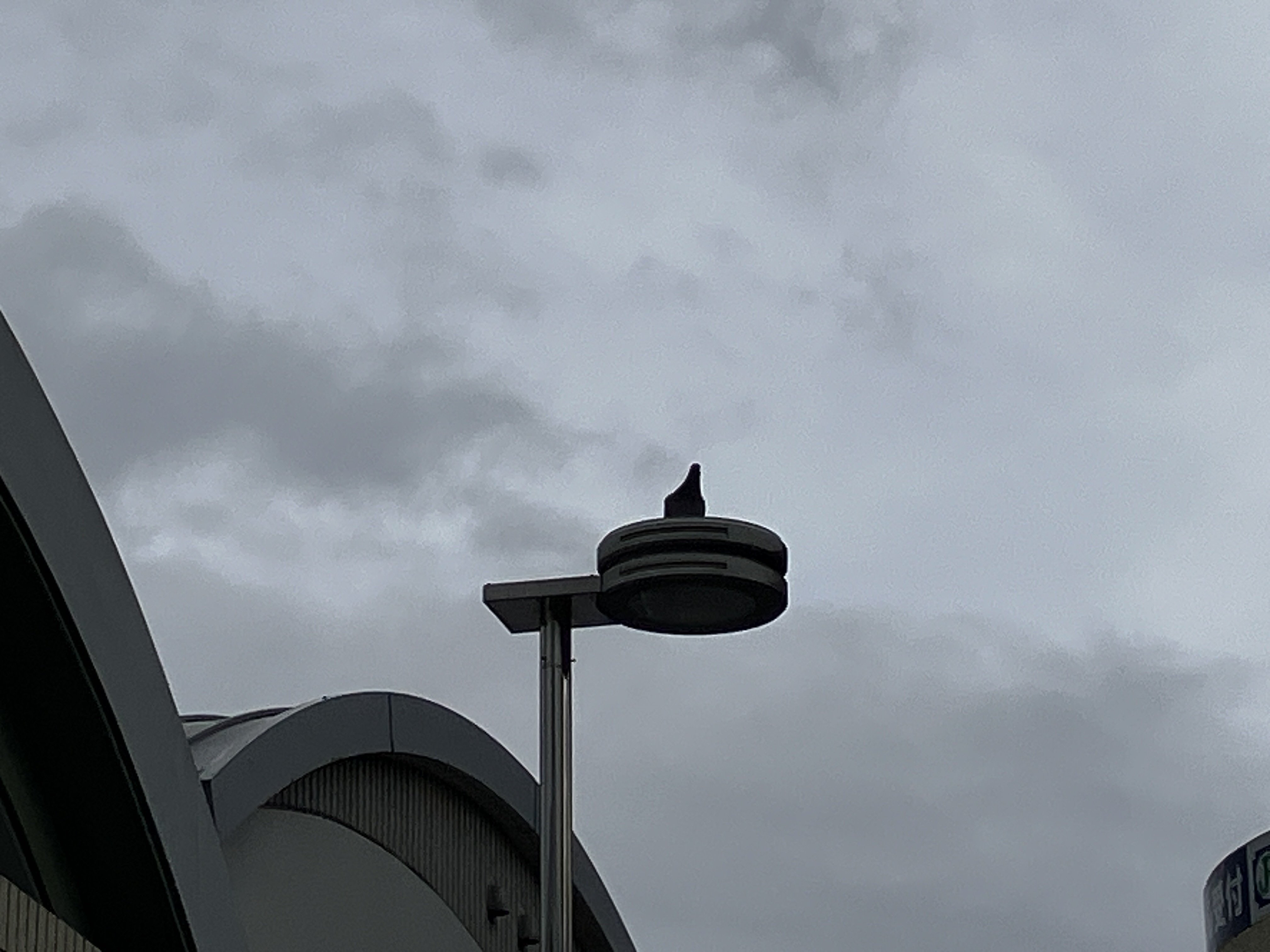 空を見上げて｜poporin