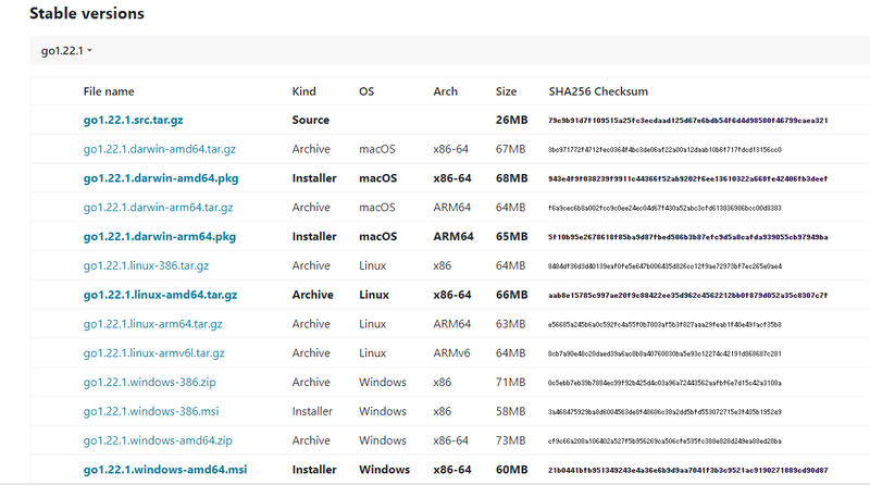 WindowsにGo言語/golangをインストールする方法【入門】｜webdrawer