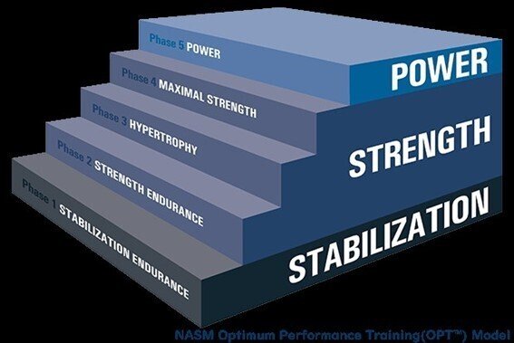 クライアントのリカバリー効果を最大限に引き出す～NASM OPTモデル｜nasmjp