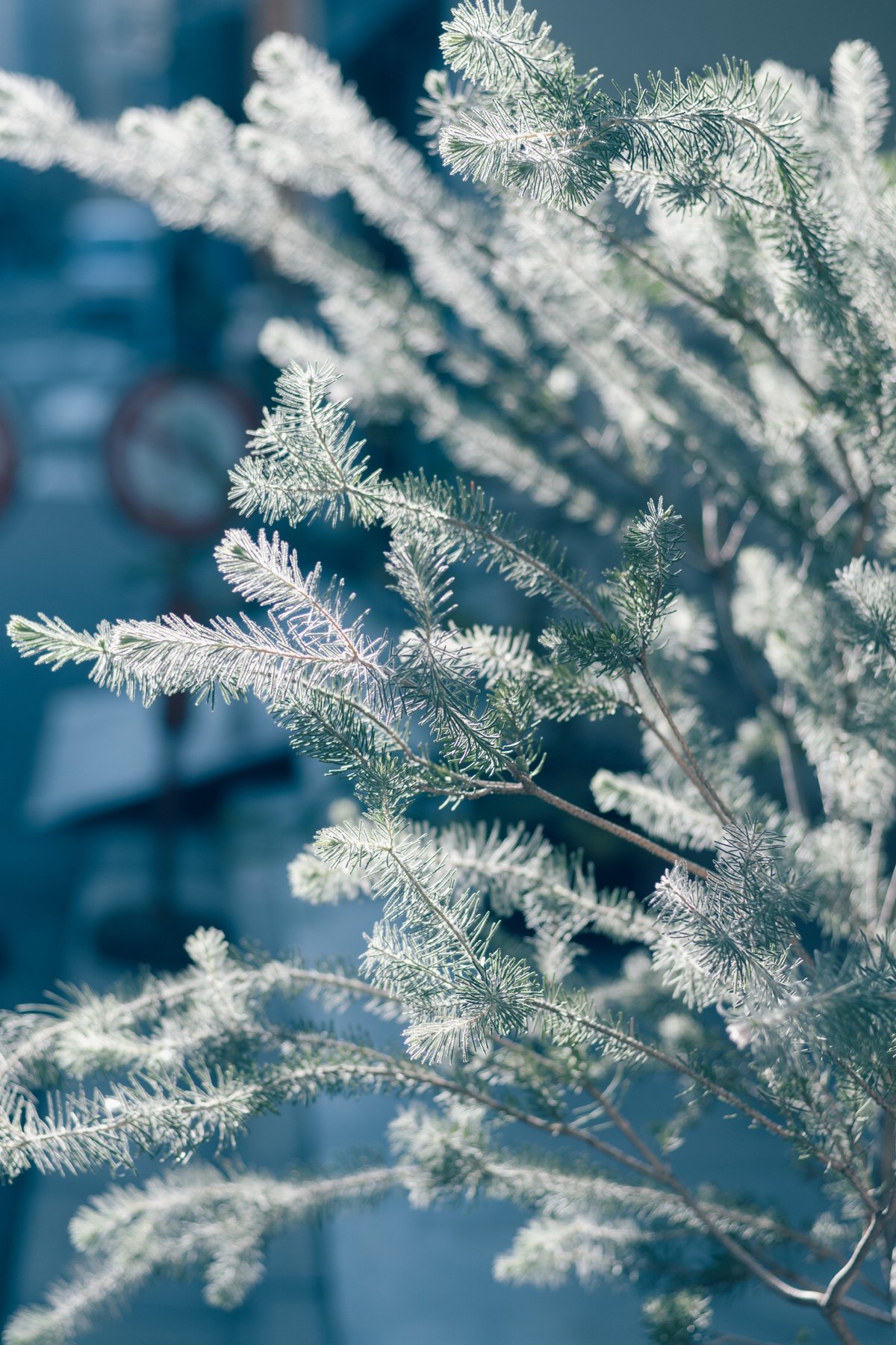 古書店街を写真散歩｜kohaku