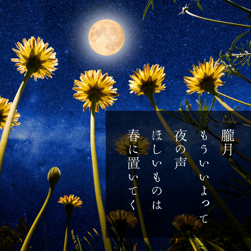 朧月【シロクマ文芸部】｜rira