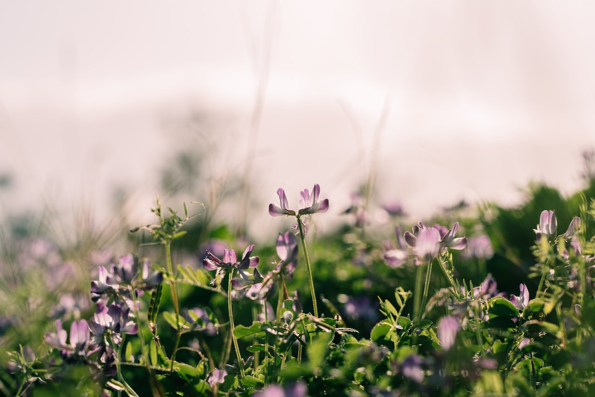 日本に帰国後初めての旅｜Keisuke Inami