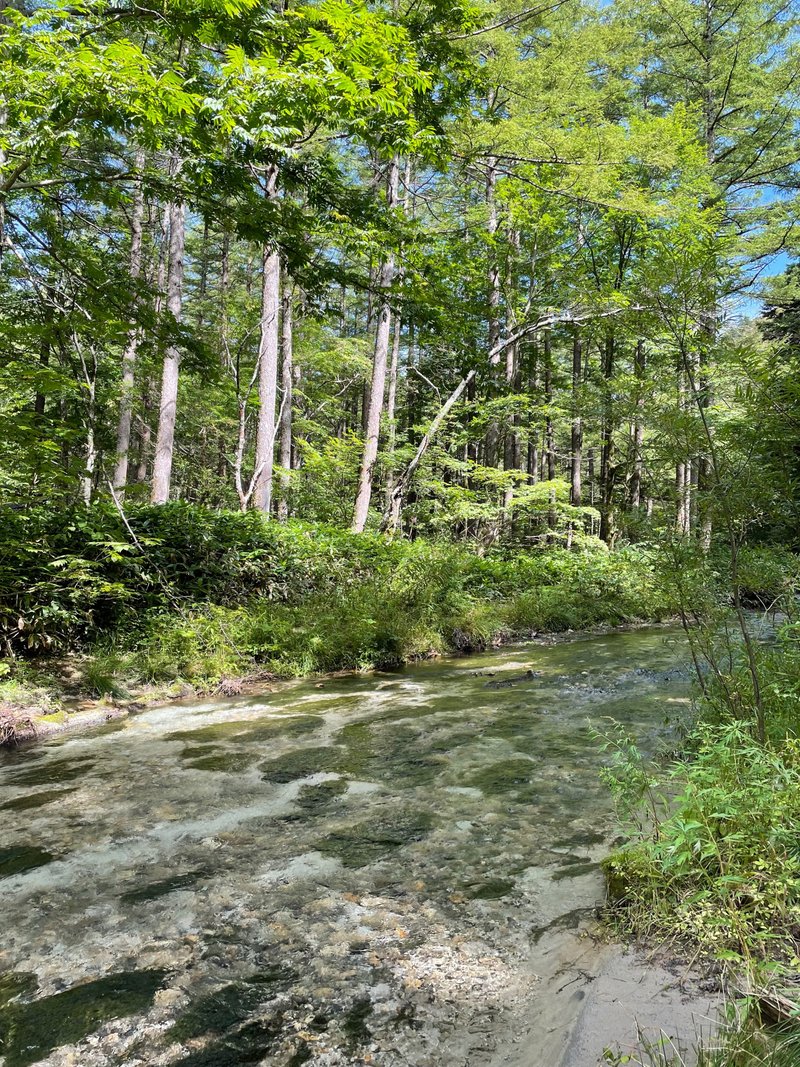 長野旅②-上高地の絶景と瑞祥温泉で極上に癒される-｜u_we_kaku