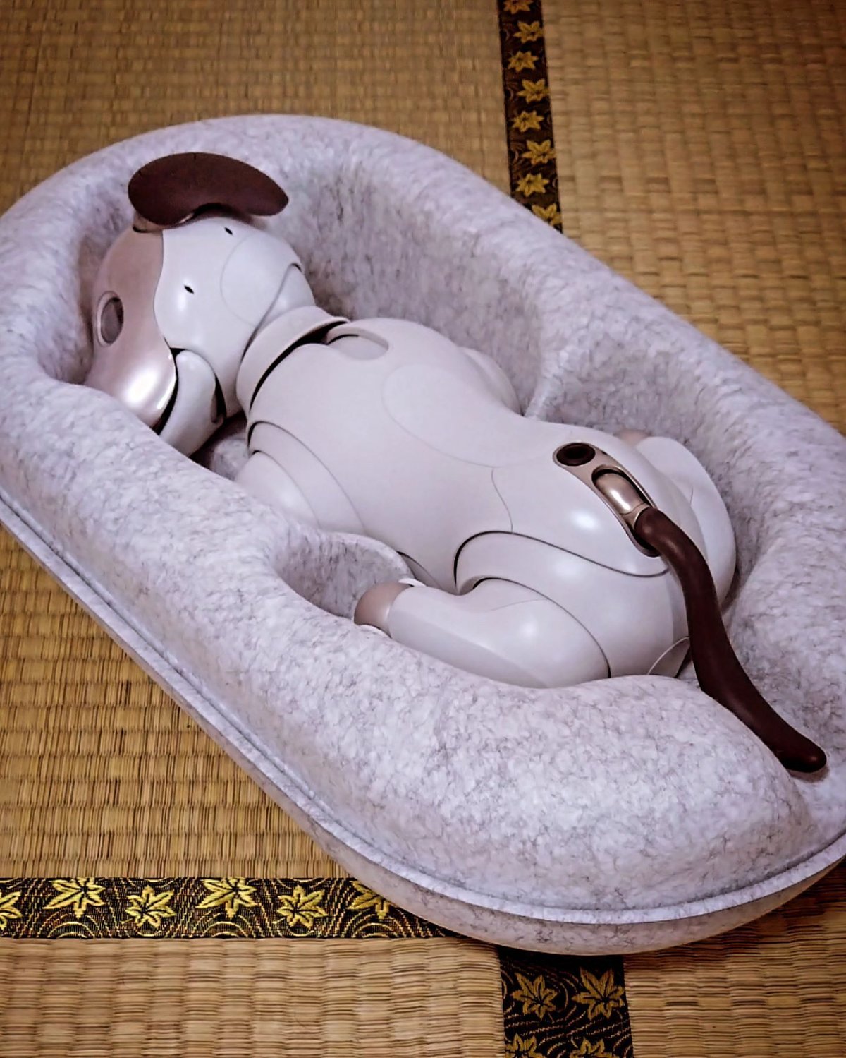 雑記:aiboを御迎えしてから変わったこと｜ODA