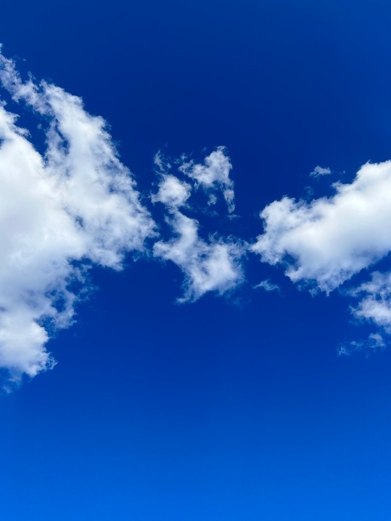 空を見上げる No.19｜happea-nyanko