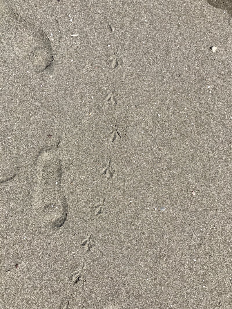 うれしすぎるひと言｜hIto