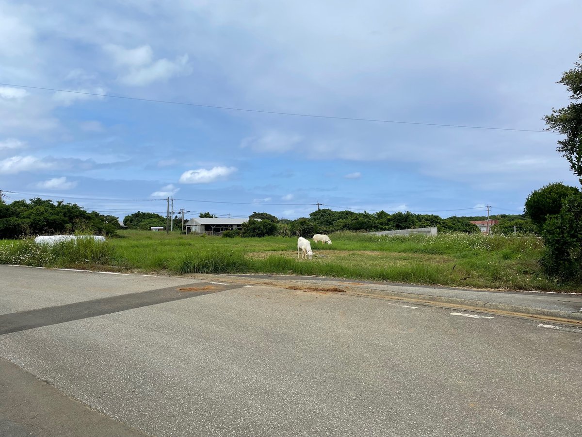 【鹿児島県：与論島】ひとり旅①｜u_we_kaku