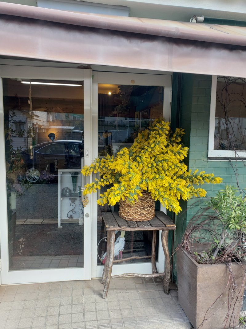 花のある生活。。。🥺💘｜madamhiroko