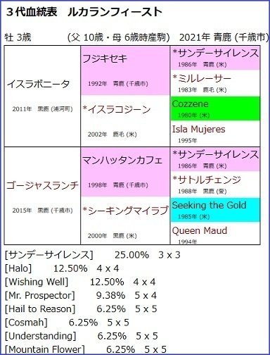 【スプリングS（G2）回顧～その先へ】血統篇｜Haya