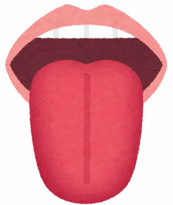 3日坊主のわたしでも養生ダイエットを継続できている理由｜【RAKU】Elly式養生ダイエット認定コンサルタント