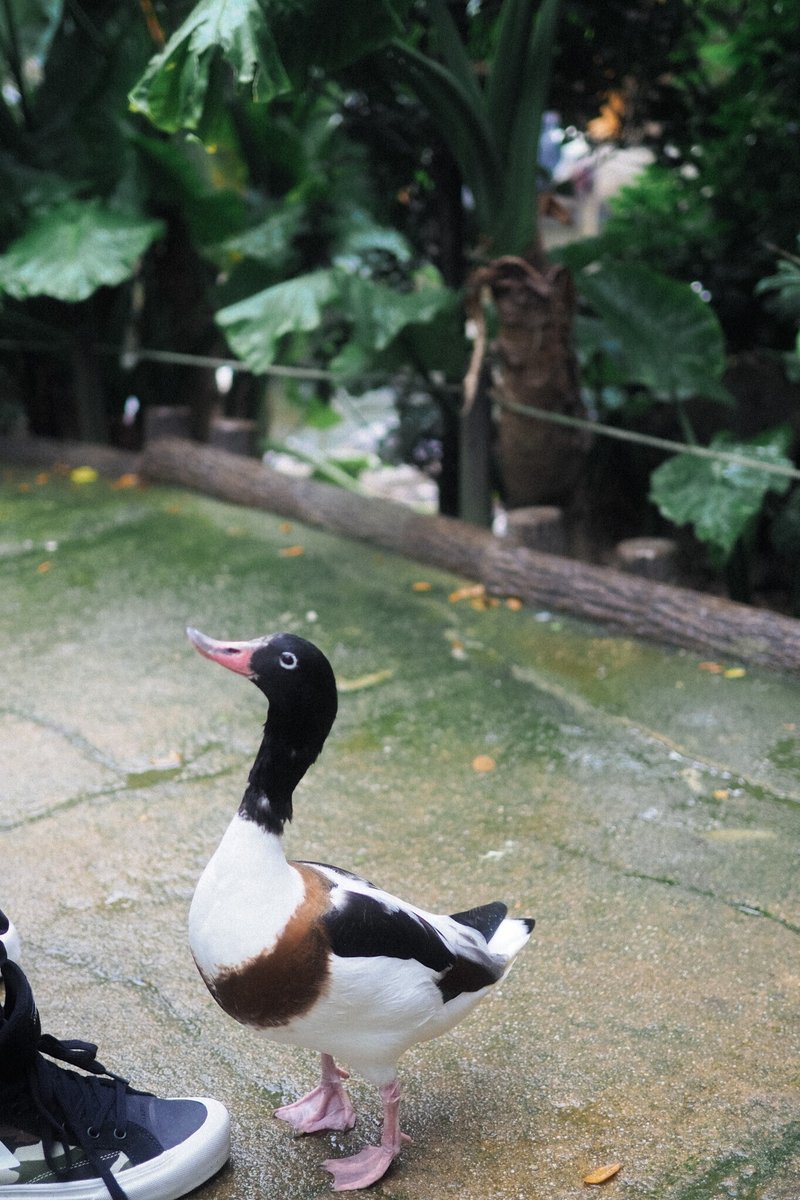 2023/11~2023/12の写活｜yoko