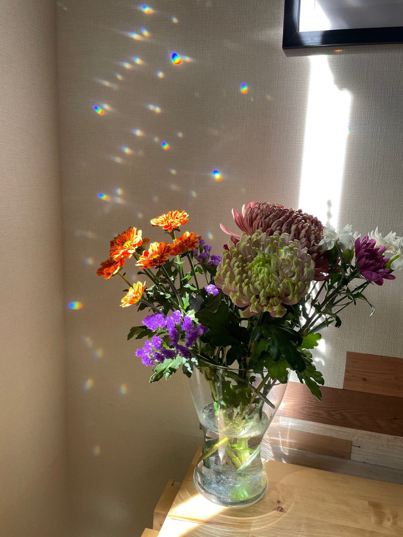 愛の世界｜YUKARINのヘソだしクラブ