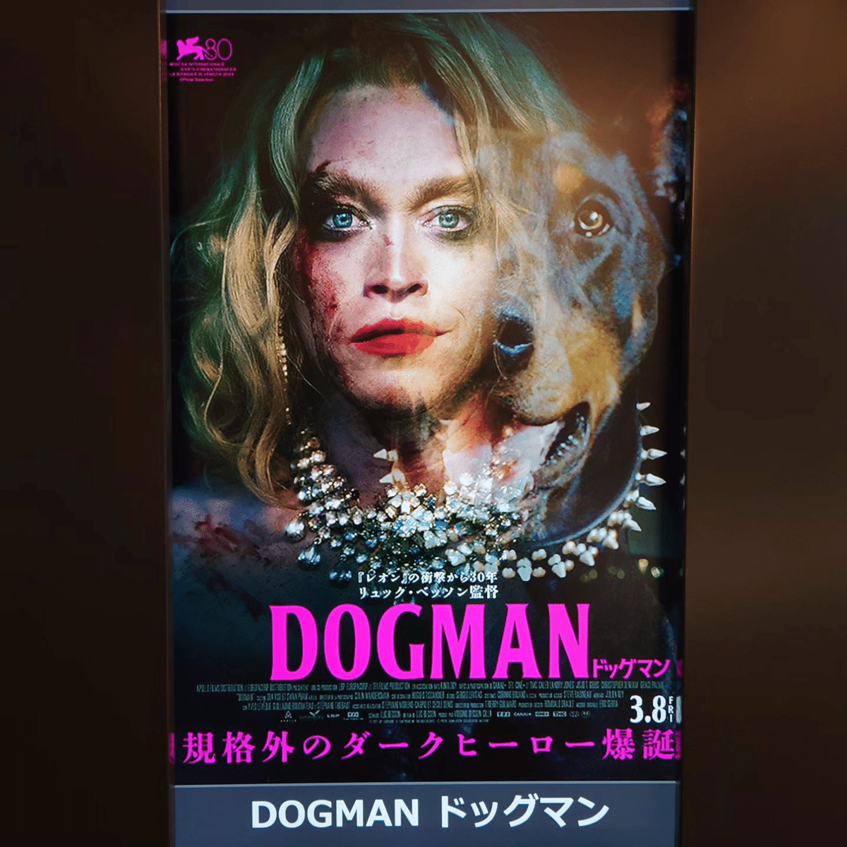 映画日誌’24-16：DOGMAN ドッグマン｜さかいりえ