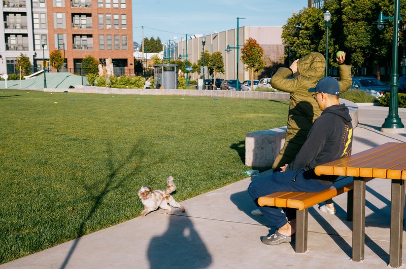 Busy Tuesday - Afternoon Walk｜helloryuji