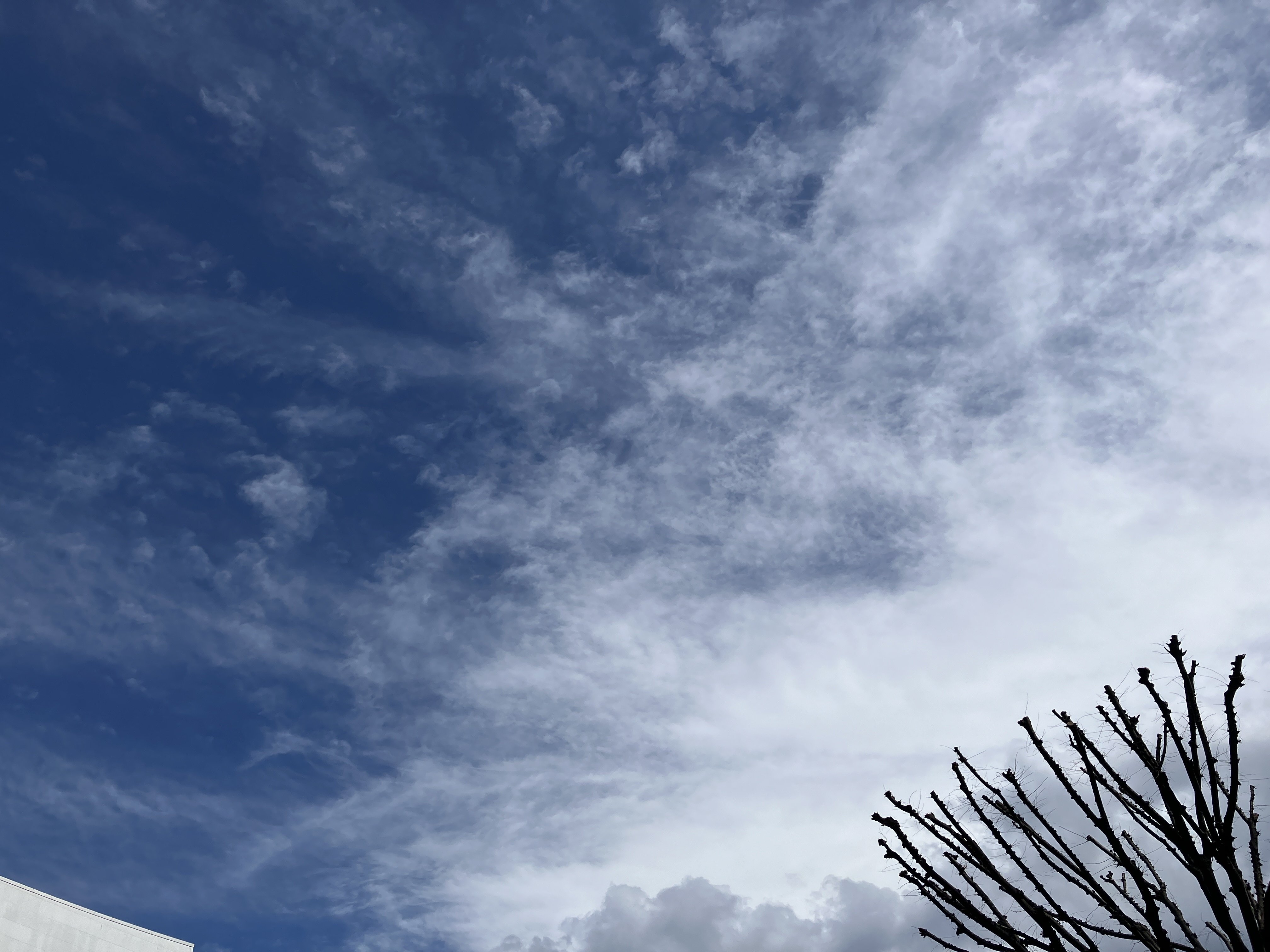 空を見上げて｜poporin