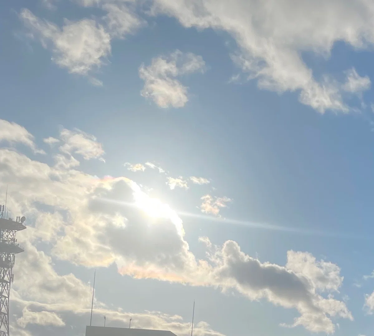 不定期写真更新2024.3｜ゆー