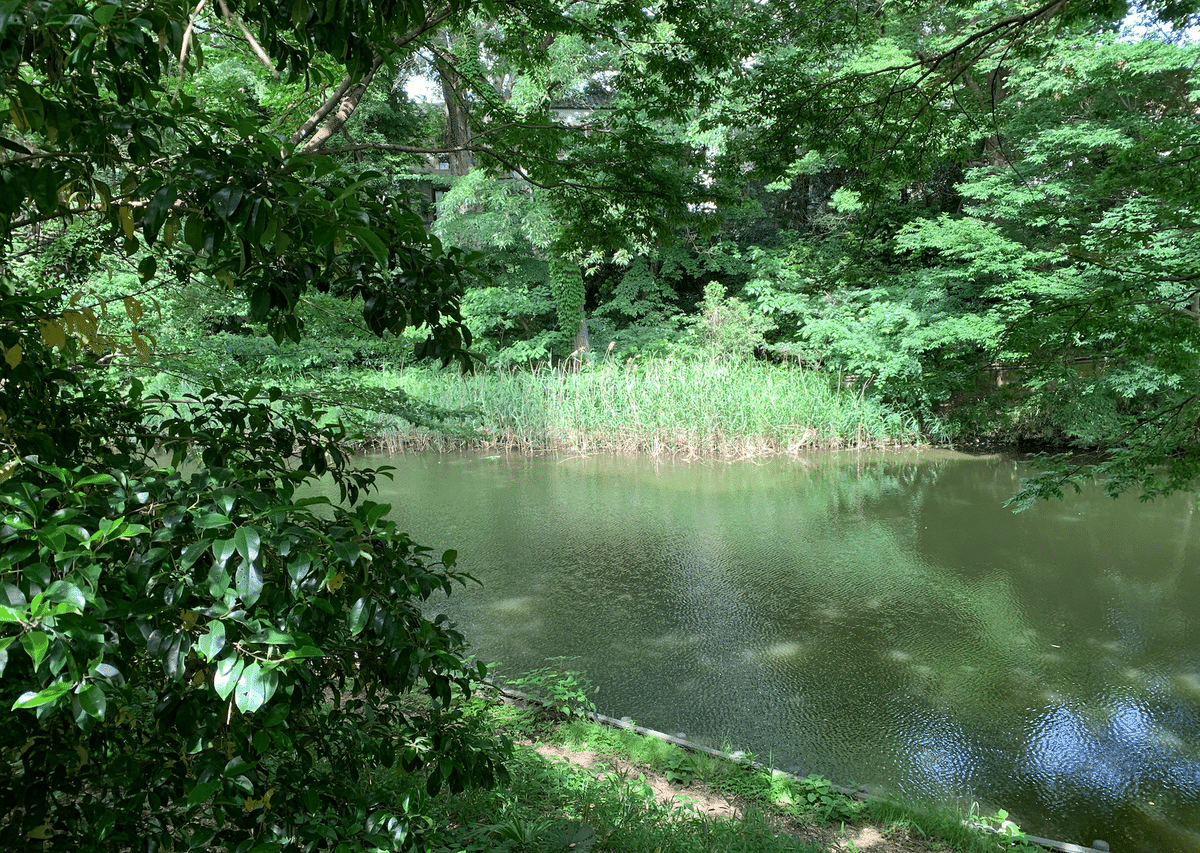 さようなら駒場たち：四度加行と他の小さなブレークスルー｜Masataka INUI