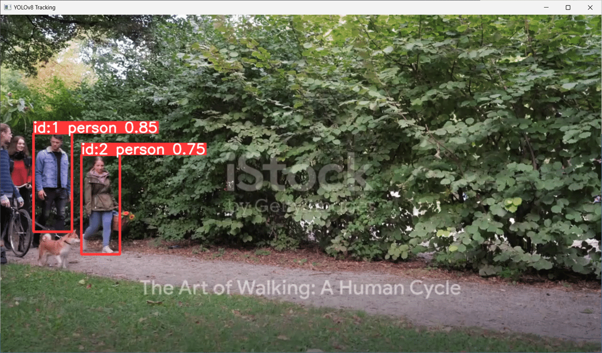 【Python】動画内の指定オブジェクトを追跡して自動トリミング（3）｜二重杜いちご@ma251iwt