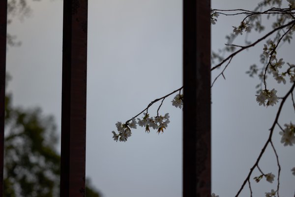 declic | Kenji Miura｜note