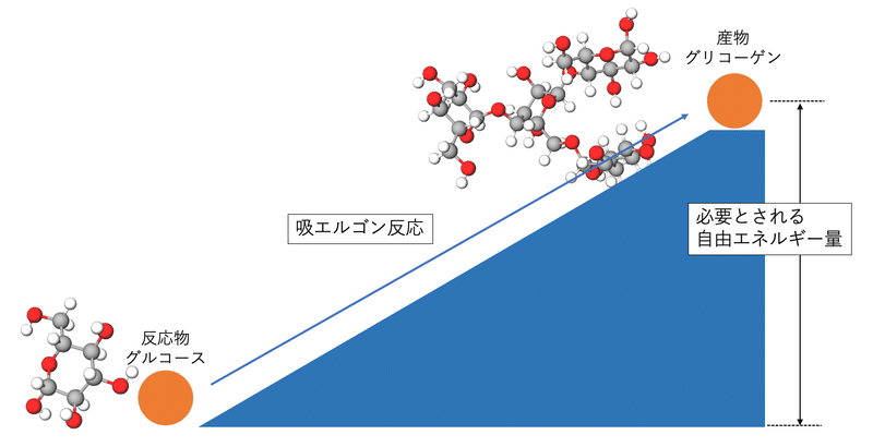 Off Flavor入門〜⑩エネルギーと反応｜Shiro Yamada
