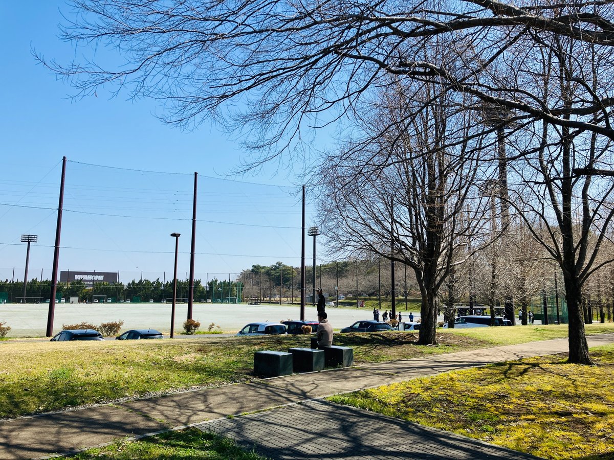 仏の笑顔で恩返しCQを叫ぶ鬼 #20240331｜SUUA-SAN