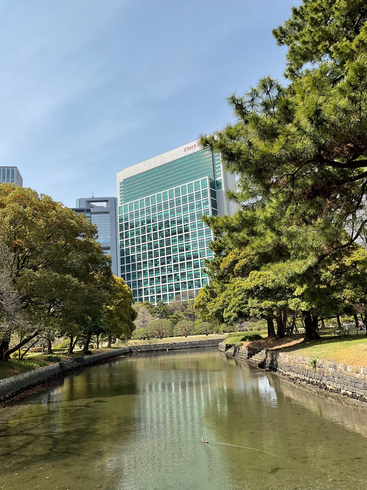 浜離宮、お台場ユニコーンの春！｜雲州鳩