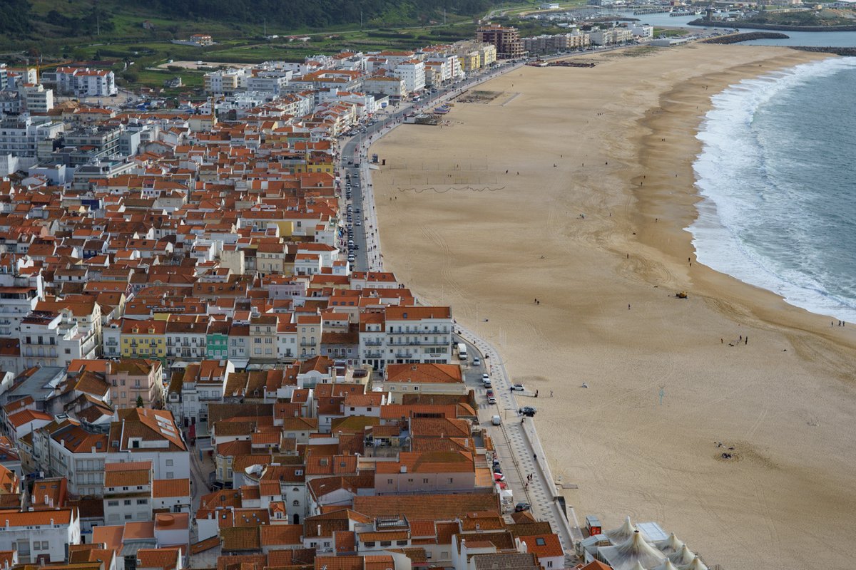 [旅行記] ポルトガルのイワシ 日本との違いは｜Hiro Oaks / 日々の雑感