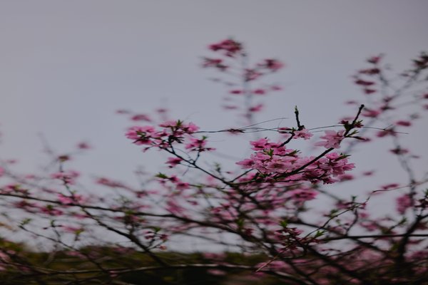 declic | Kenji Miura｜note