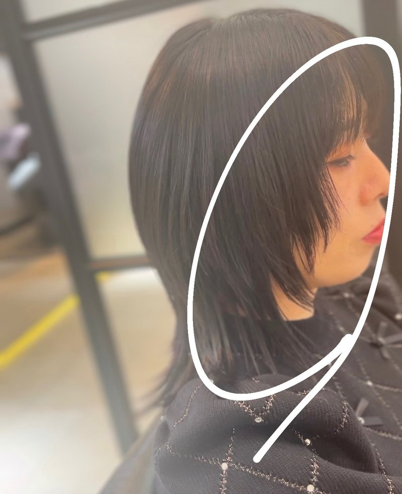 小顔！横顔美人になるフェイスレイヤーとは｜5 Noble ct.町田サロン-oggiotto・バイカルテ・ultowa正規取り扱い店-