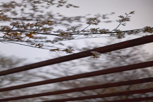 declic | Kenji Miura｜note