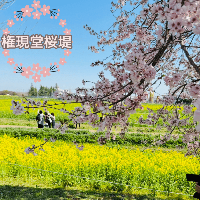 足利銘仙の宣伝・販売戦略 vol.3｜Meisen NFT