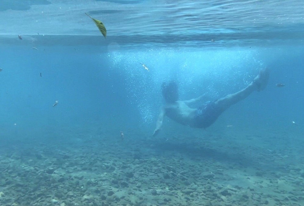 秋田に抗う｜nenene inc.