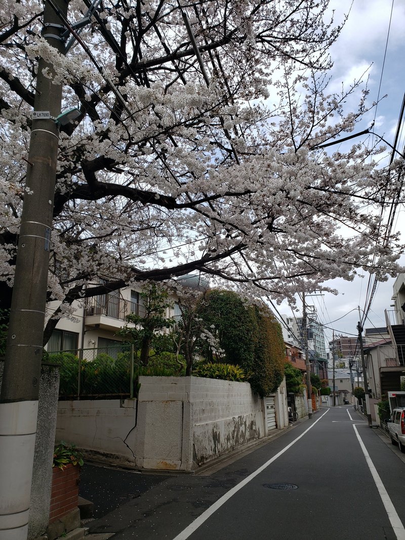 ソフトクリームのテストをしてきました｜OtsukaYosuke 大塚陽介
