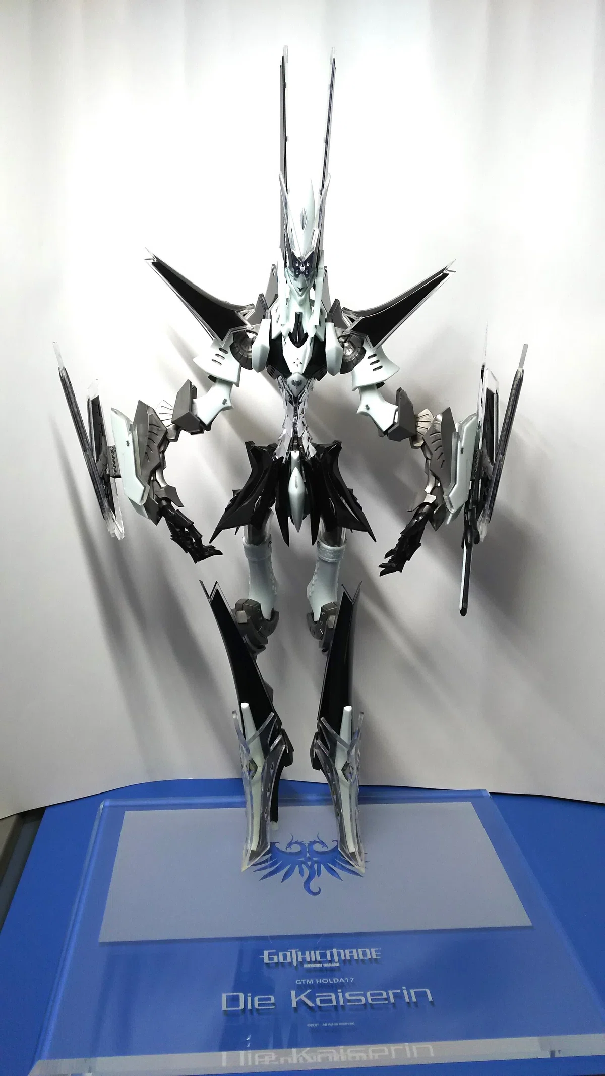 ABSOMEC GTM カイゼリン（2019年）｜マグナパレス7777