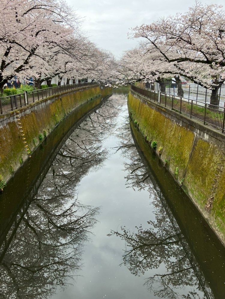 ななサムwithガッジーらin東スタ｜𝕪as numa