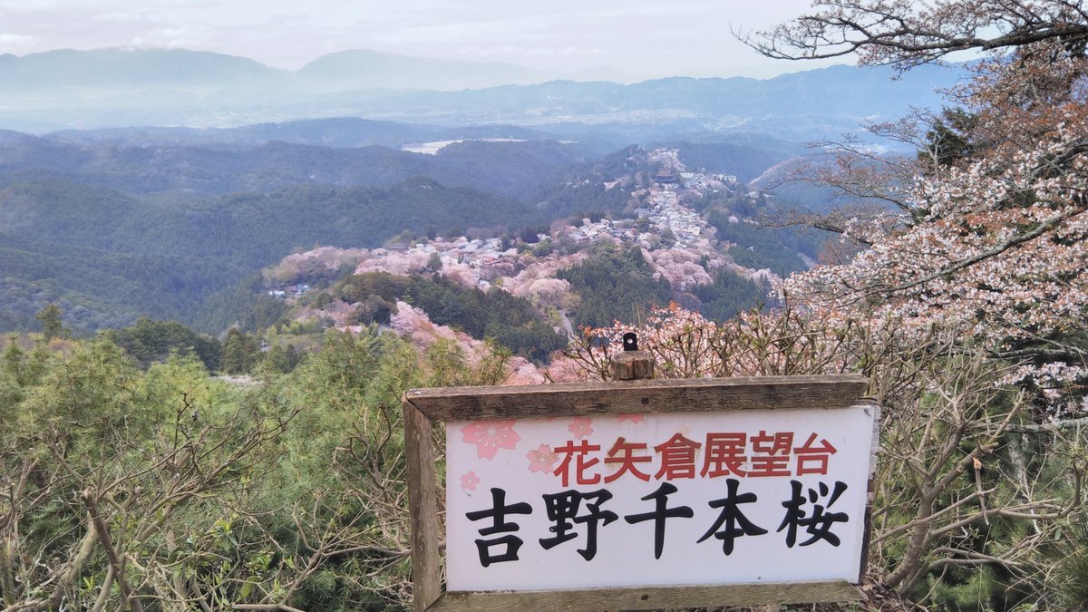 【京都駅からの日帰り旅行】吉野山（約10時間20分）｜aurinko