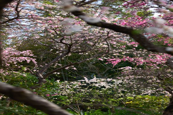 declic | Kenji Miura｜note