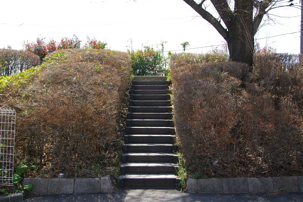 PENTAX *ist DS ～20年前のデジタル一眼ってどうだったの?～｜たくえぬ