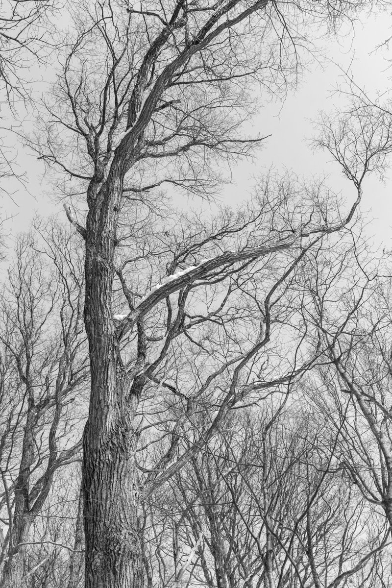 冬の里山探検編-(photo by.Kousuke Satoさん)2024.03.09栗山町｜くりやまカメラの会