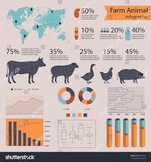 インフォグラフィックを作りたい｜neji bit