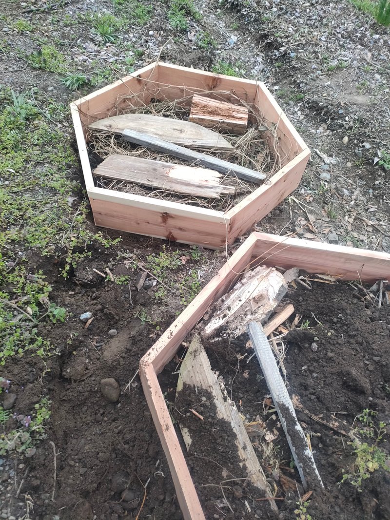 6角形レイズドベッド完成｜shanthi-usui