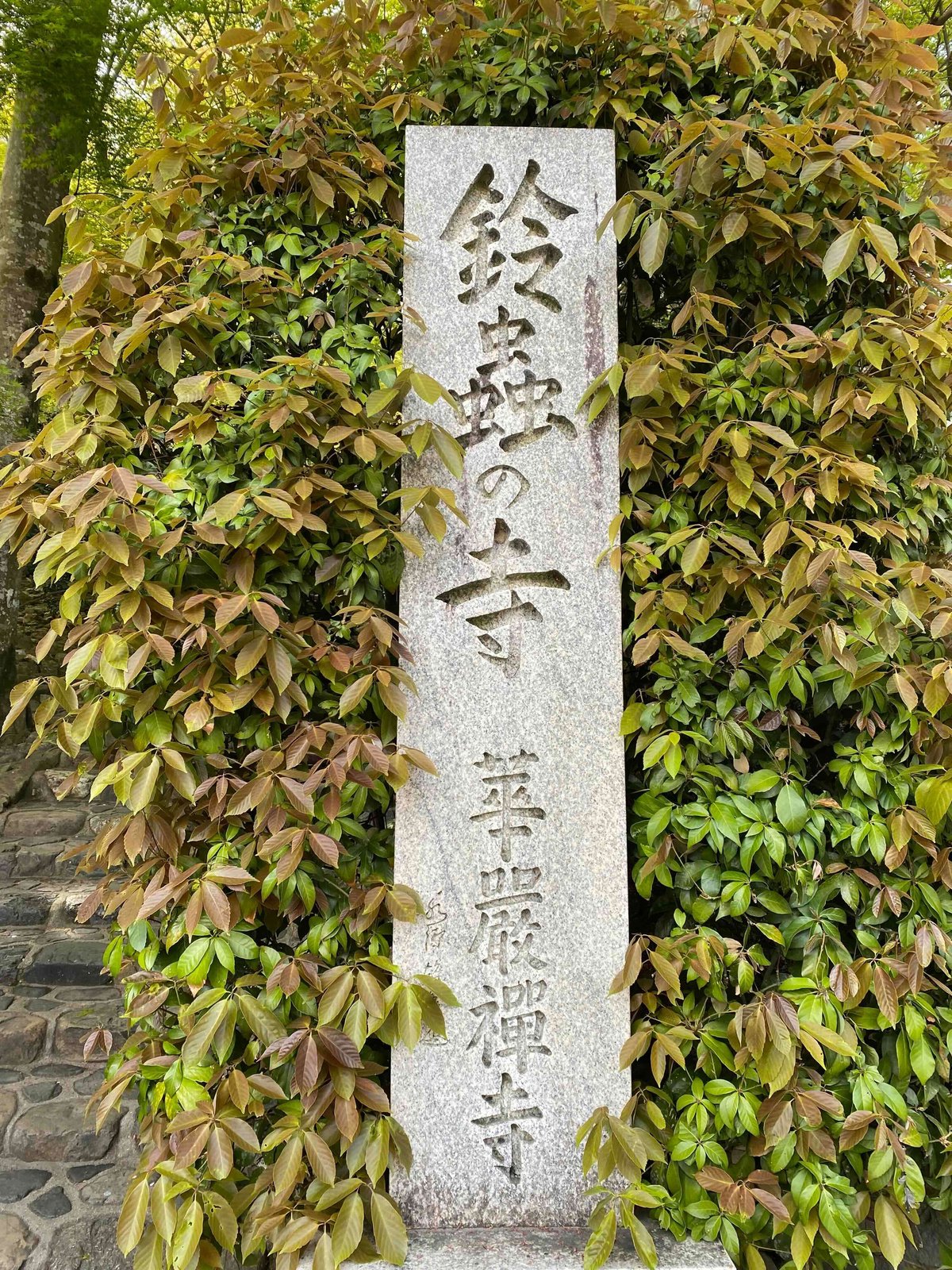 京都の『鈴虫寺』へ行ってきた｜tomomo