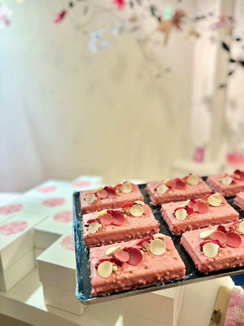 チュチュ・ケーク｜OtsukaYosuke 大塚陽介