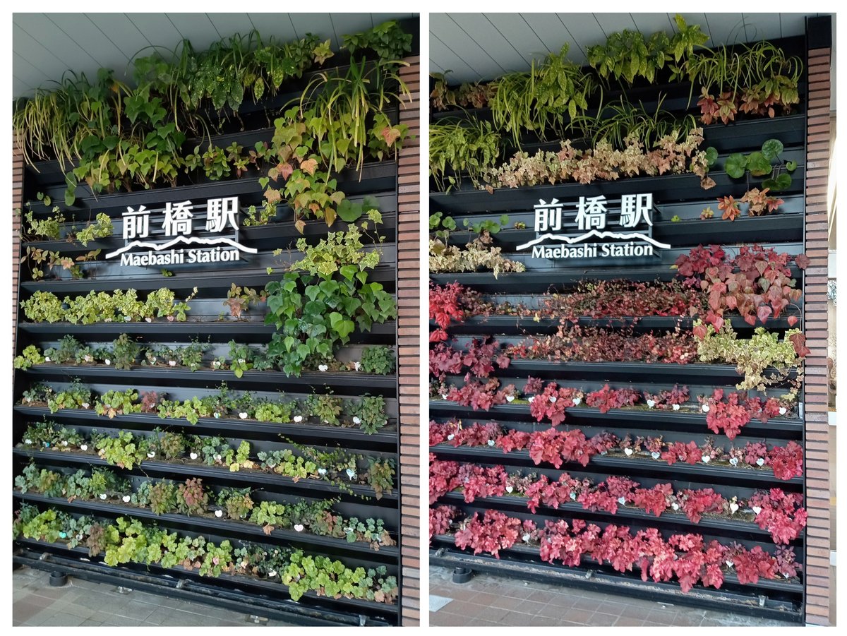 47都道府県ちいさな旅㉖群馬｜irie