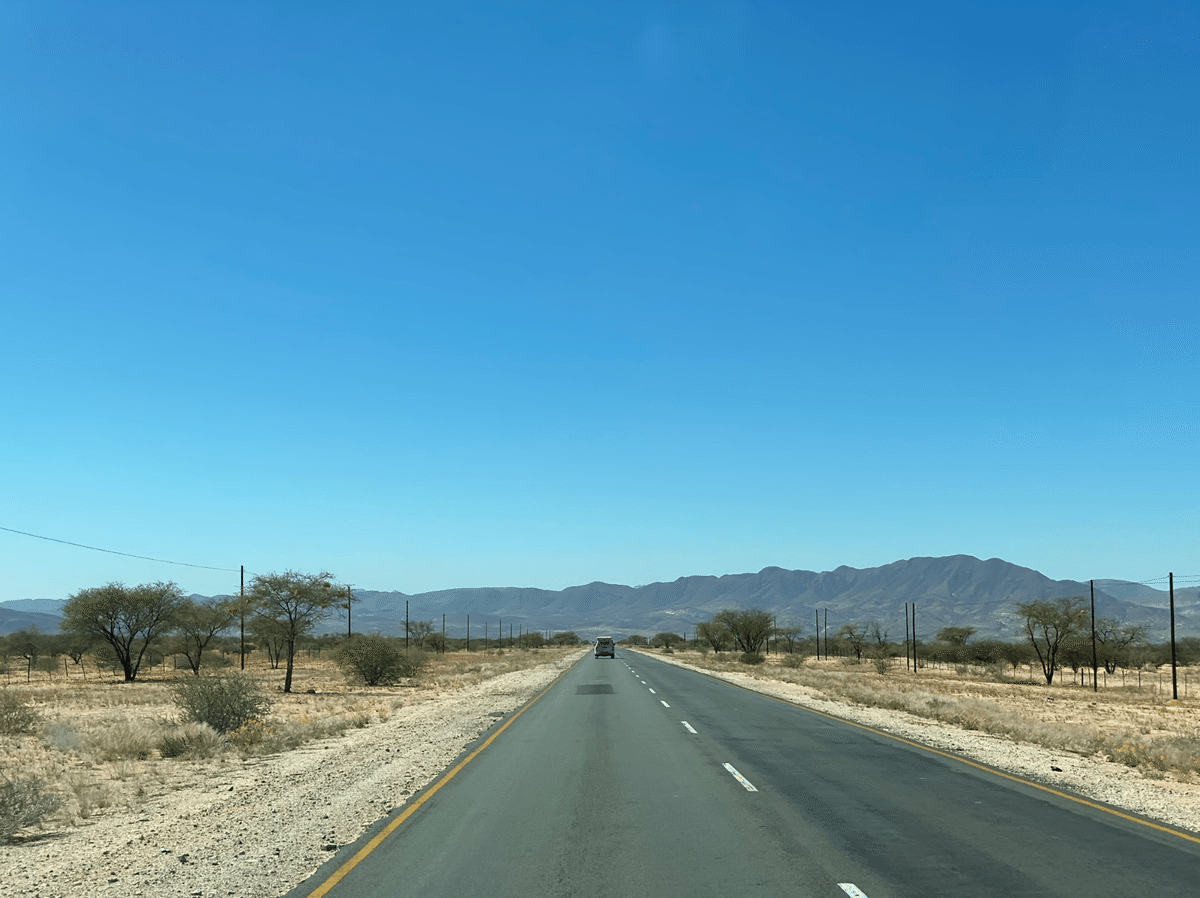 キリンの肉｜Gaku