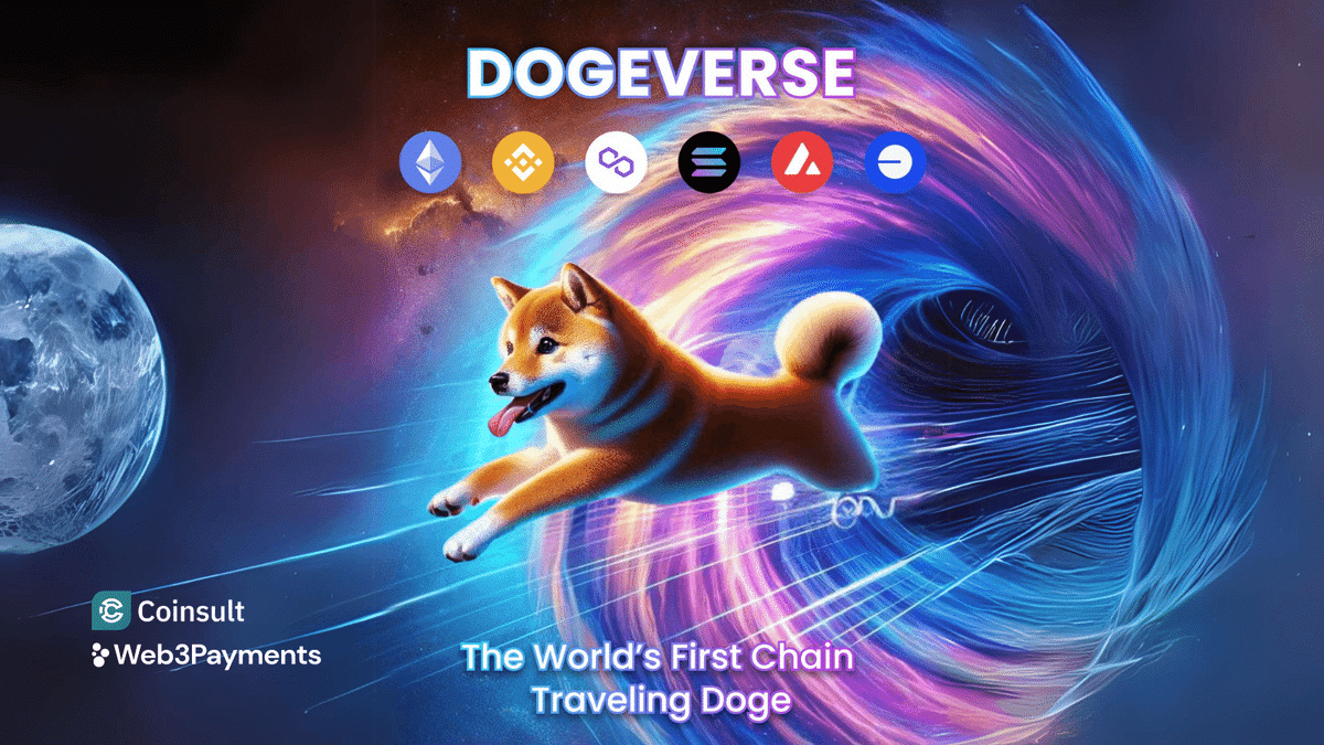 数分で25万ドルを調達！Dogeverseが示す仮想通貨の新境地 ｜Token Times Japan