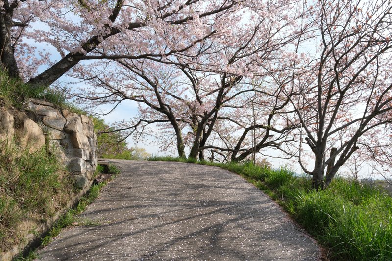 Fujifilm X-T5を持って週末の散歩を楽しむ｜fold_hama