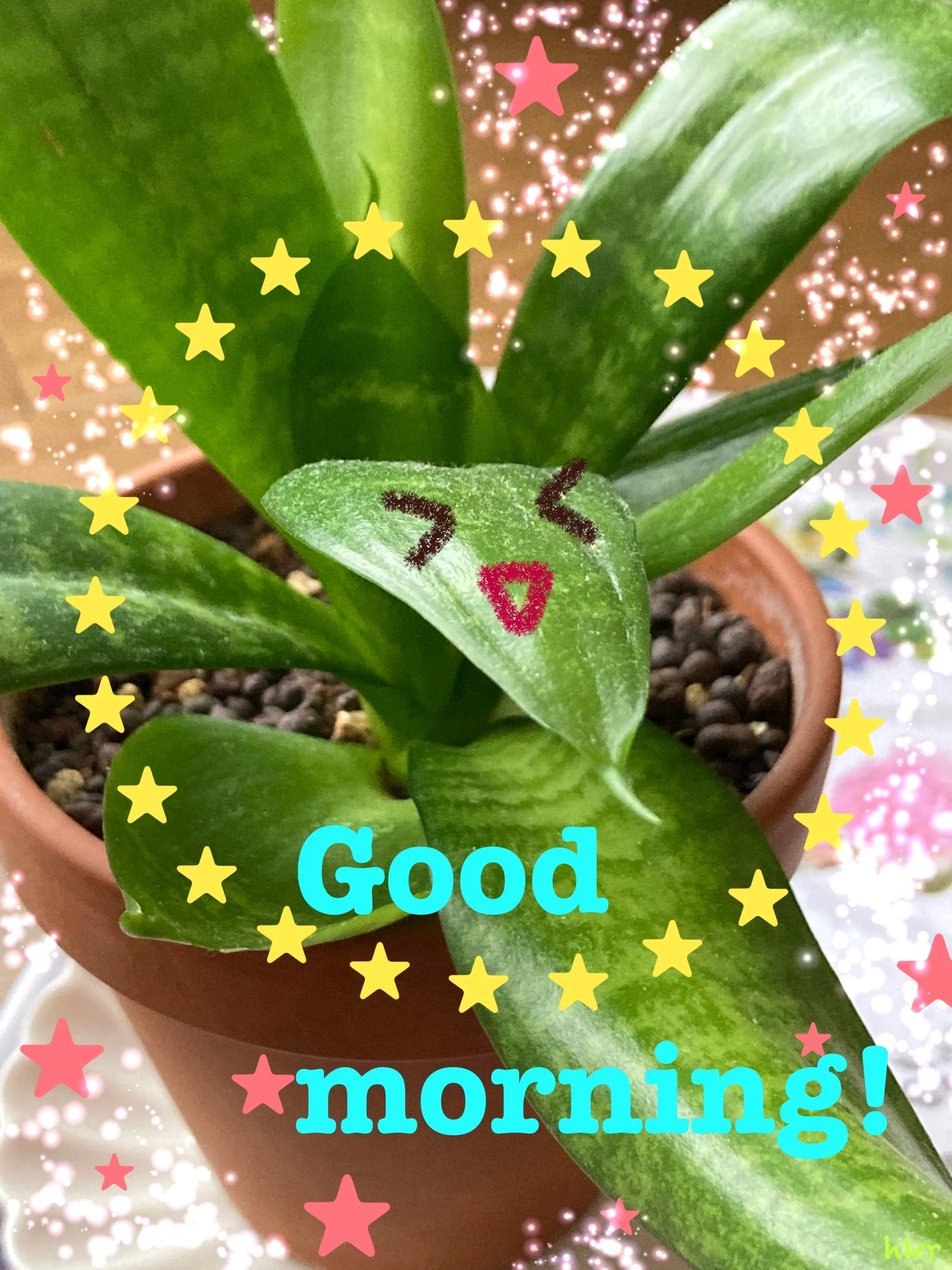 Good morning!｜hikari